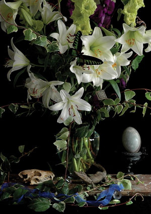 Cobi Cockburn | Artlink Magazine